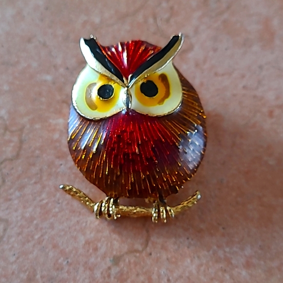 Jewelry | Vintage Owl Pin | Poshmark